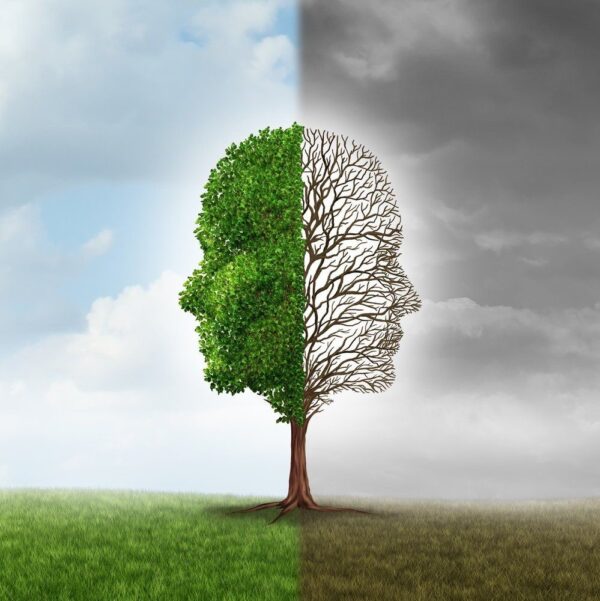 PTSD and Suicide After Natural Disasters - chesterstreetfoundation.org
